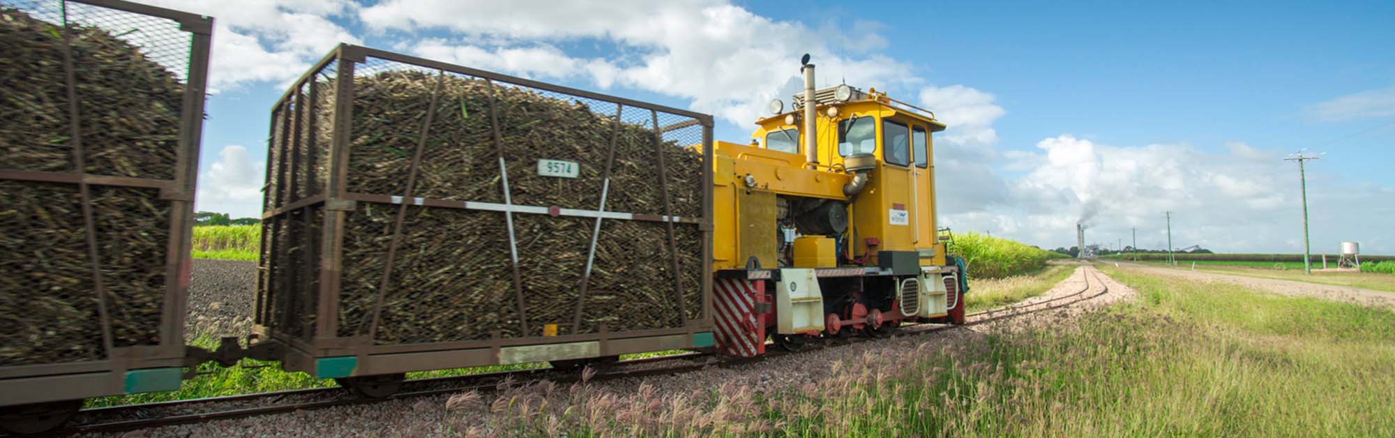 Sugarcane haulage truck turns in front of Wilmar sugarcane train in ...